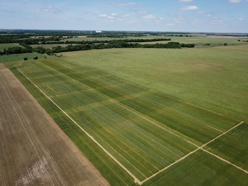 Test plots and aerial data guide better nutrient prescriptions