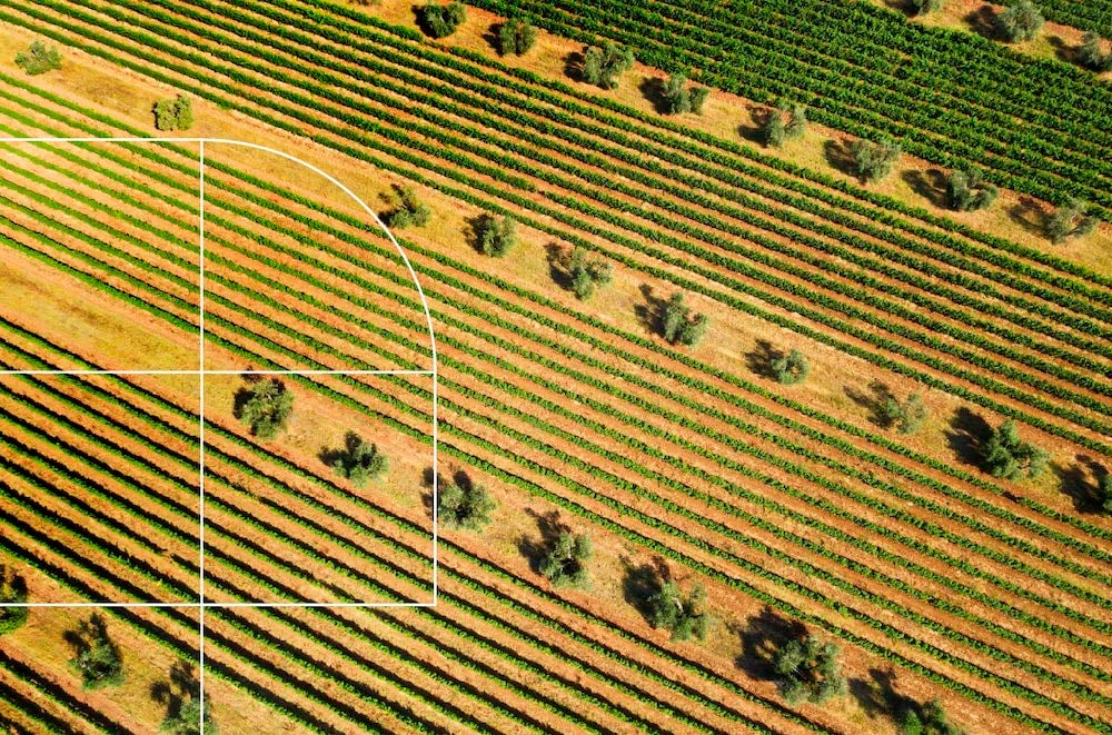 Aerial data for optimizing crop health | Ceres Imaging