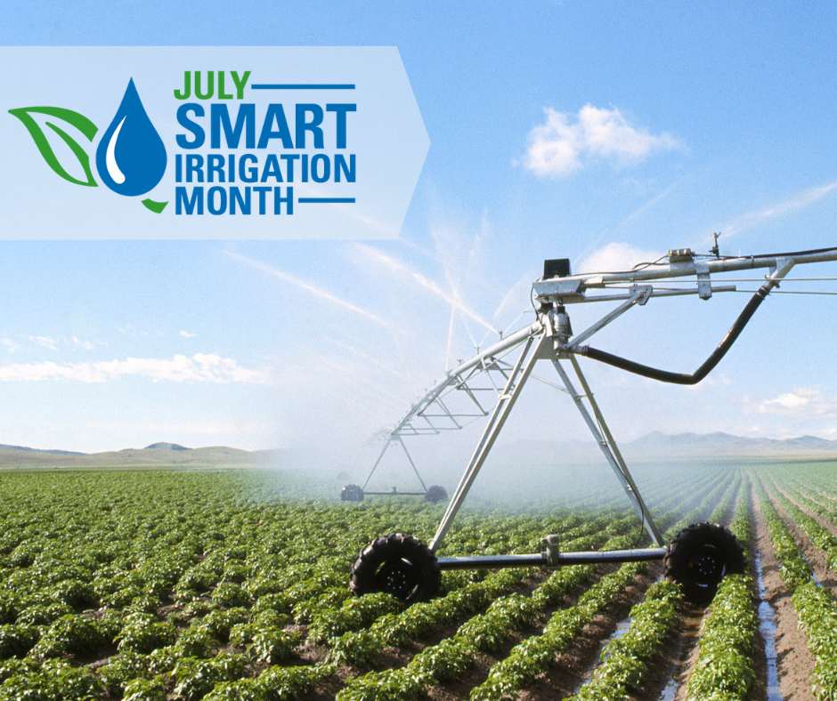 There are countless ways irrigation can go wrong: here's how three ...