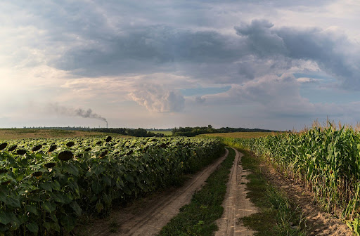 From Blind Spots to Breakthroughs: Why Yield Risk Deserves a Front Seat ...