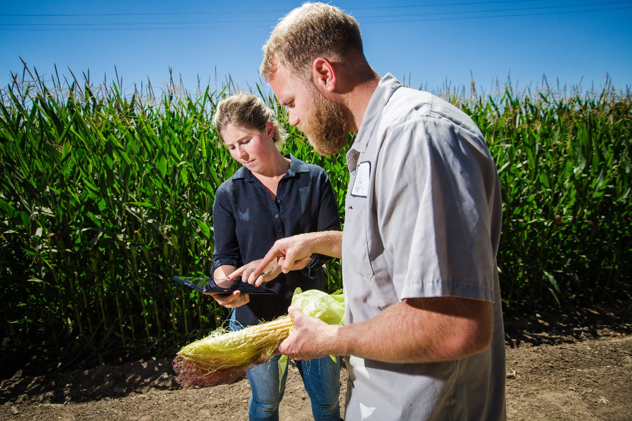 Sustainability in Action with Brian Fiscalini
