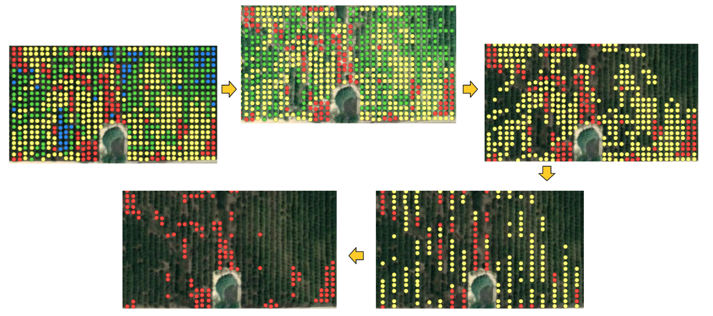 New for 2021: analyze your orchard at the plant level