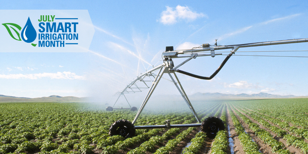 There are countless ways irrigation can go wrong: here's how three ...