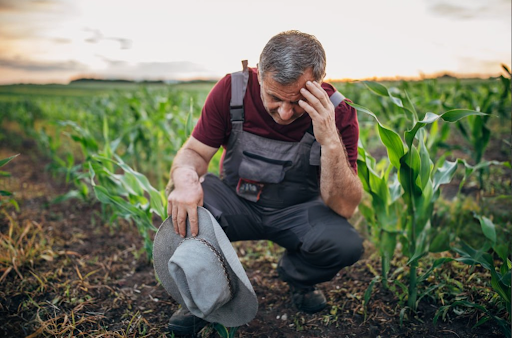 From Blind Spots to Breakthroughs: Why Yield Risk Deserves a Front Seat ...